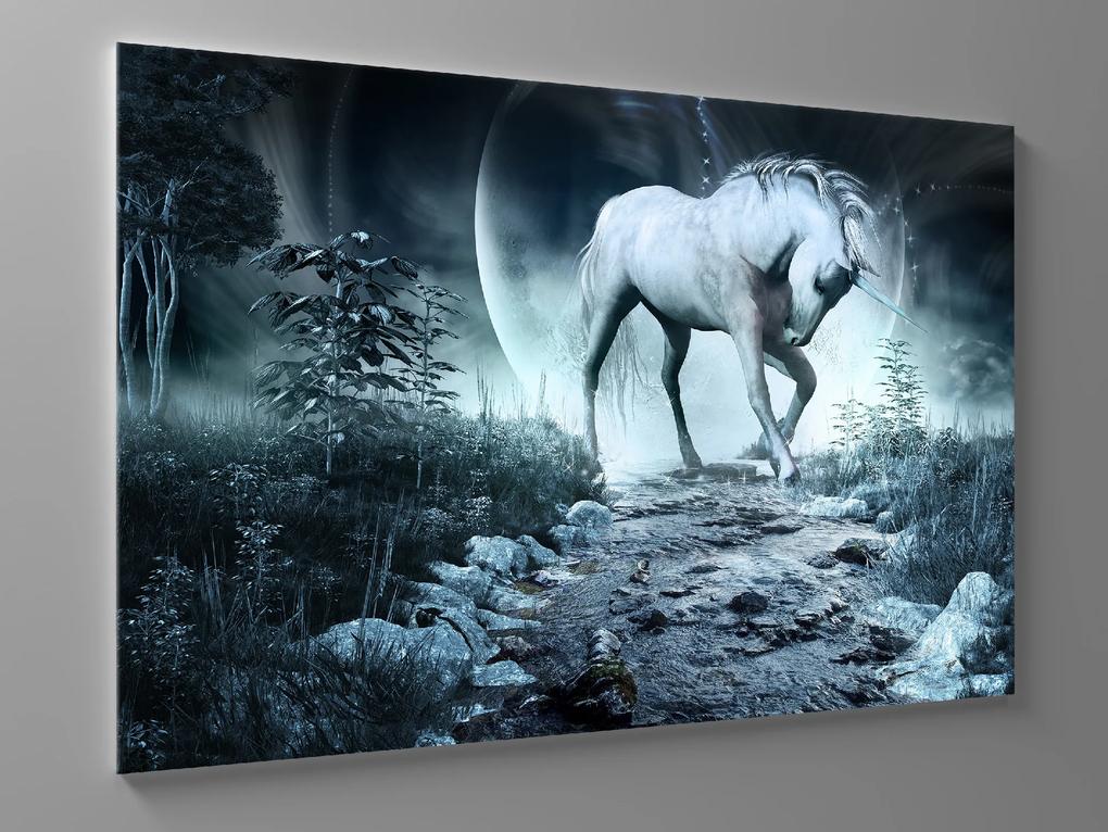 Liox Obraz jednorožec v noční krajině Rozměr: 150 x 100 cm