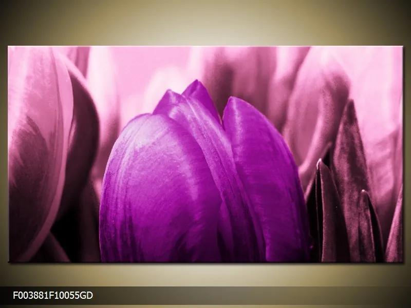 Obraz fialového tulipánu  (), 40 dalších rozměrů