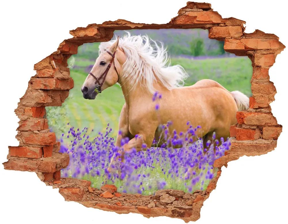 Wallmuralia Díra 3D fototapeta Kůň na poli levandule 90x70 cm