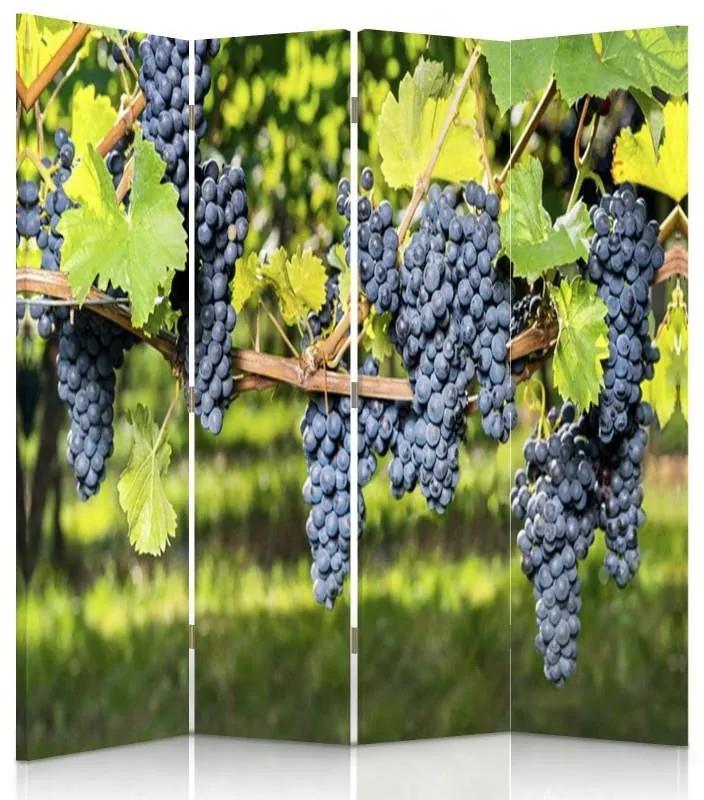 Paraván - Dark Grapes | čtyřdílný | oboustranný 145x150 cm