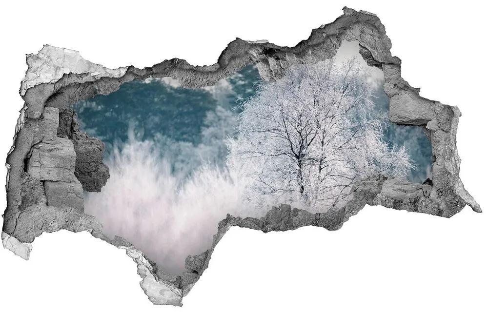 Wallmuralia Díra 3D ve zdi nálepka Stromy zima 95x73 cm