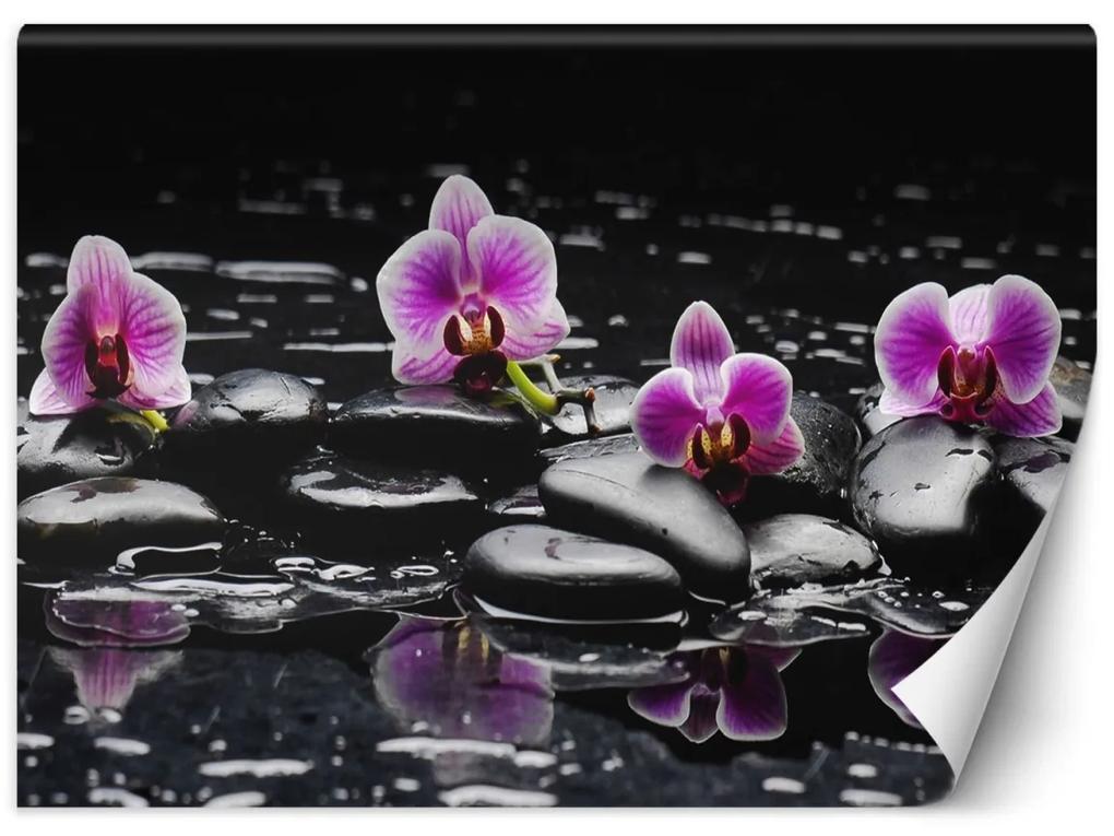 Fototapeta, Zenové kameny a orchideje - 250x175 cm
