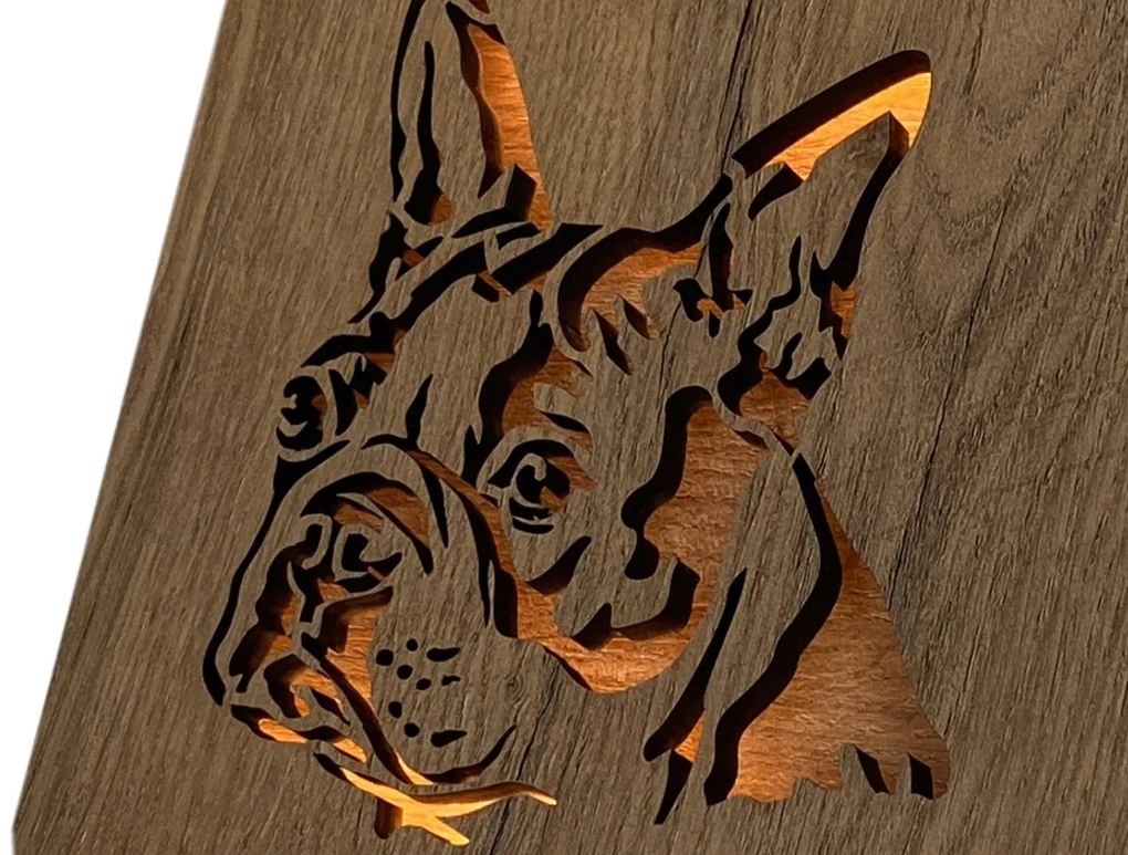 Li-Go "Buldoček" lampa 19x19cm provedení povrchu: jedle
