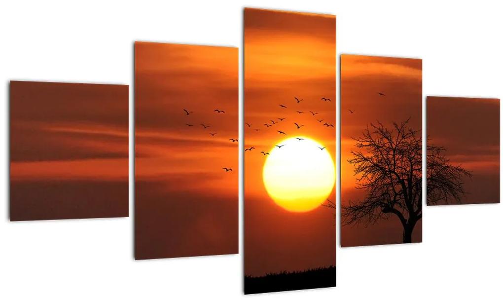 Obraz - Západ slunce (125x70 cm)