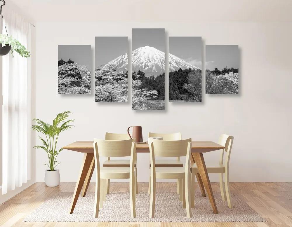 5-dílný obraz hora Fuji v černobílém provedení Varianta: 100x50