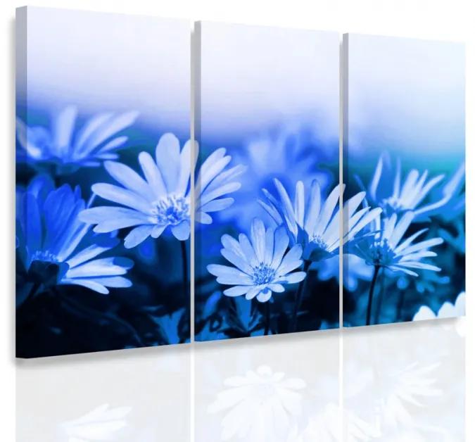 Obraz modré květy Velikost (šířka x výška): 120x80 cm