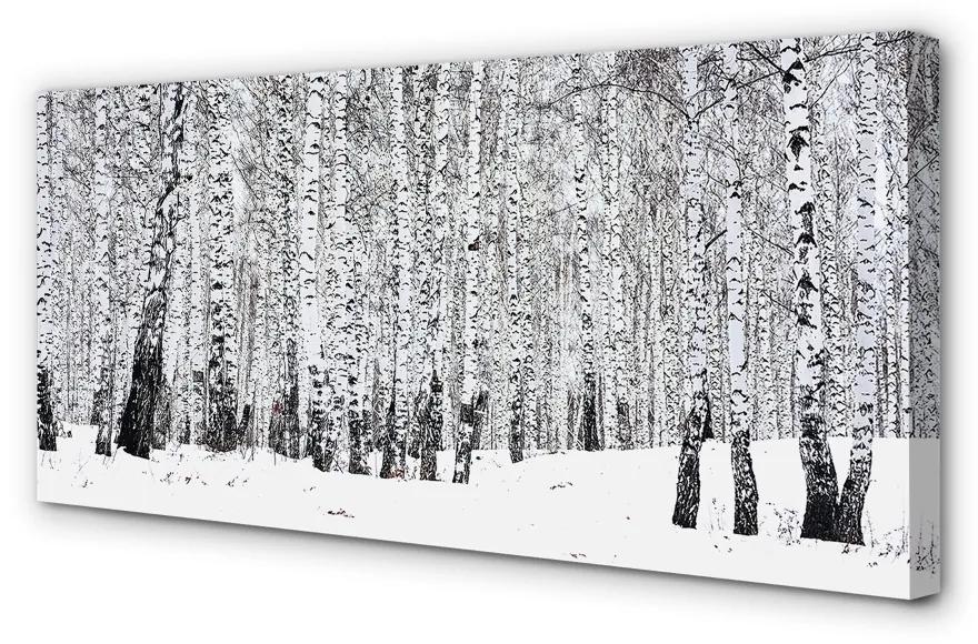 Obrazy na plátně Zimní břízy 120x60 cm