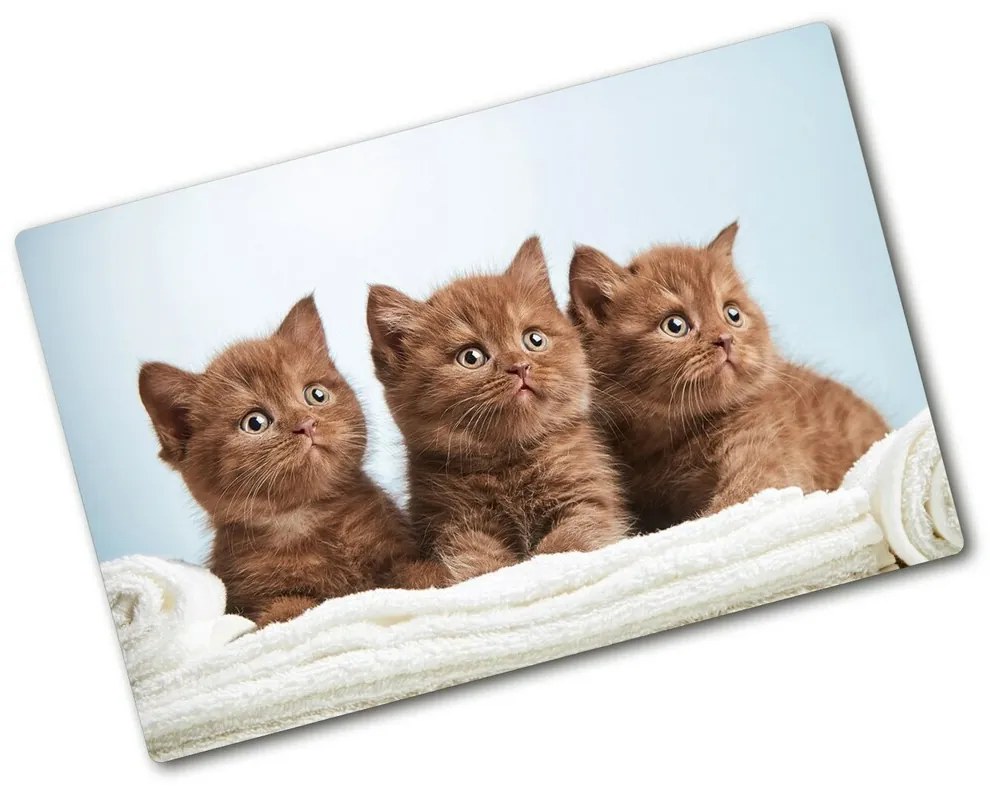 Wallmuralia Kuchyňská deska skleněná Kočky na ručníku 80x52 cm