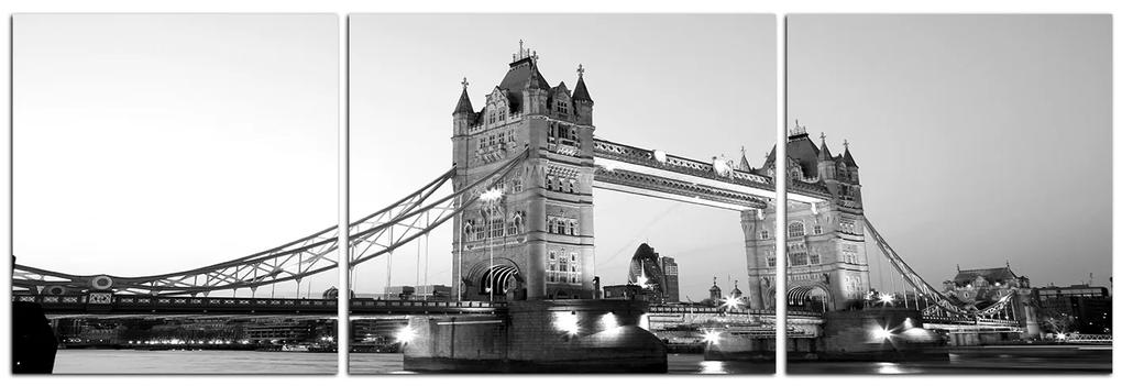 Obraz na plátně - Tower Bridge - panoráma 530ČC (120x40 cm)