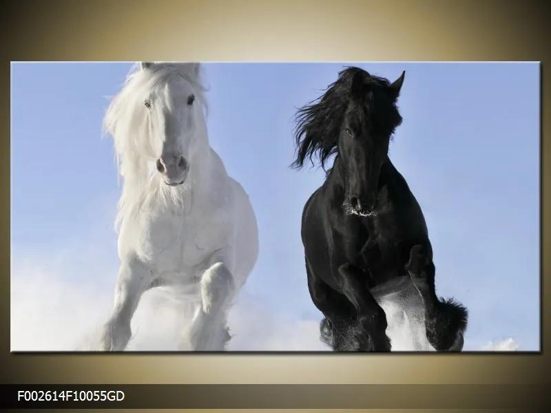 Obraz černého a bílého koně ve sněhu  (), 40 dalších rozměrů