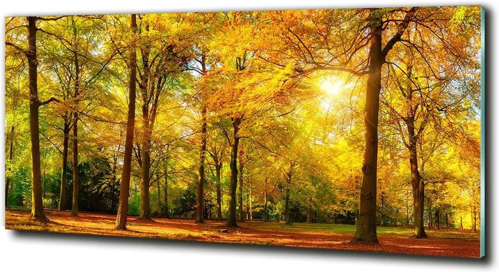 Foto obraz sklo tvrzené Podzimní les