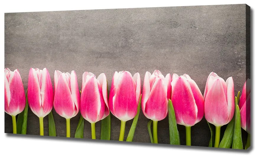 Wallmuralia Foto obraz na plátně do obýváku Růžové tulipány 120x60 cm