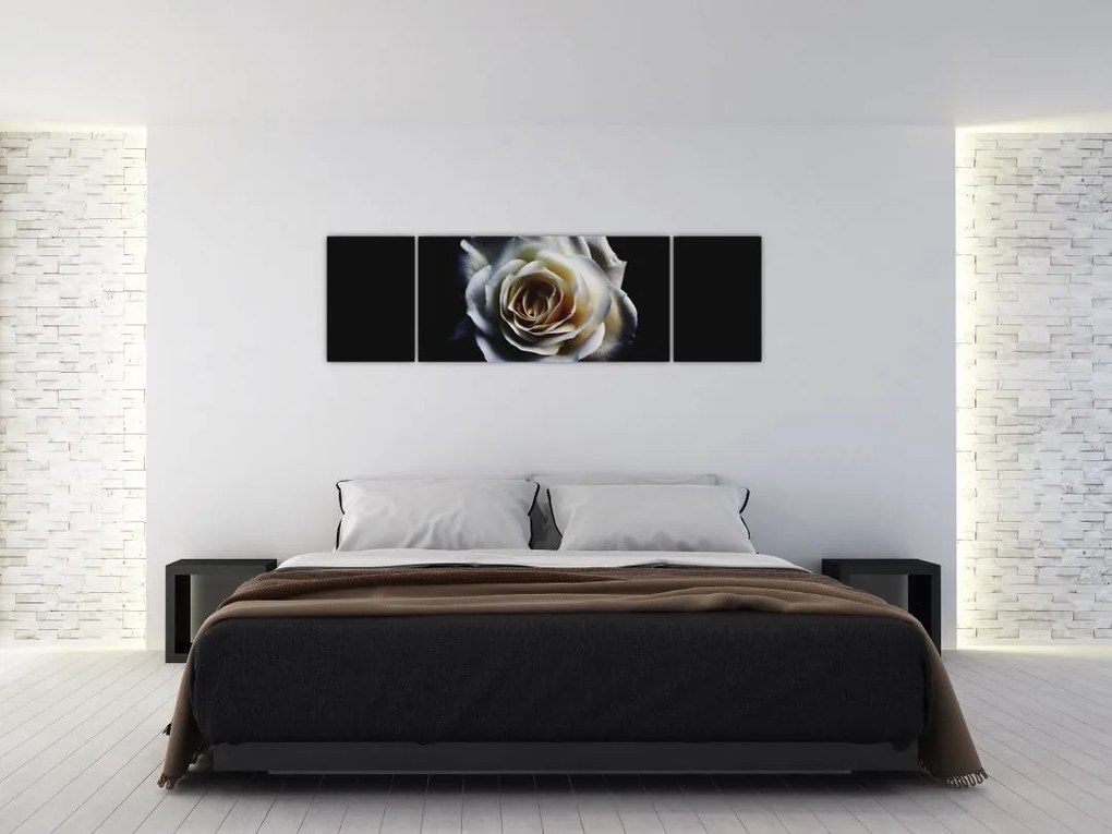 Obraz bílé růže (170x50 cm)