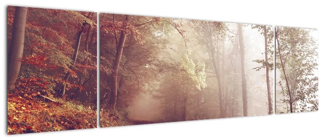 Obraz - Podzimní procházka lesem (170x50 cm)