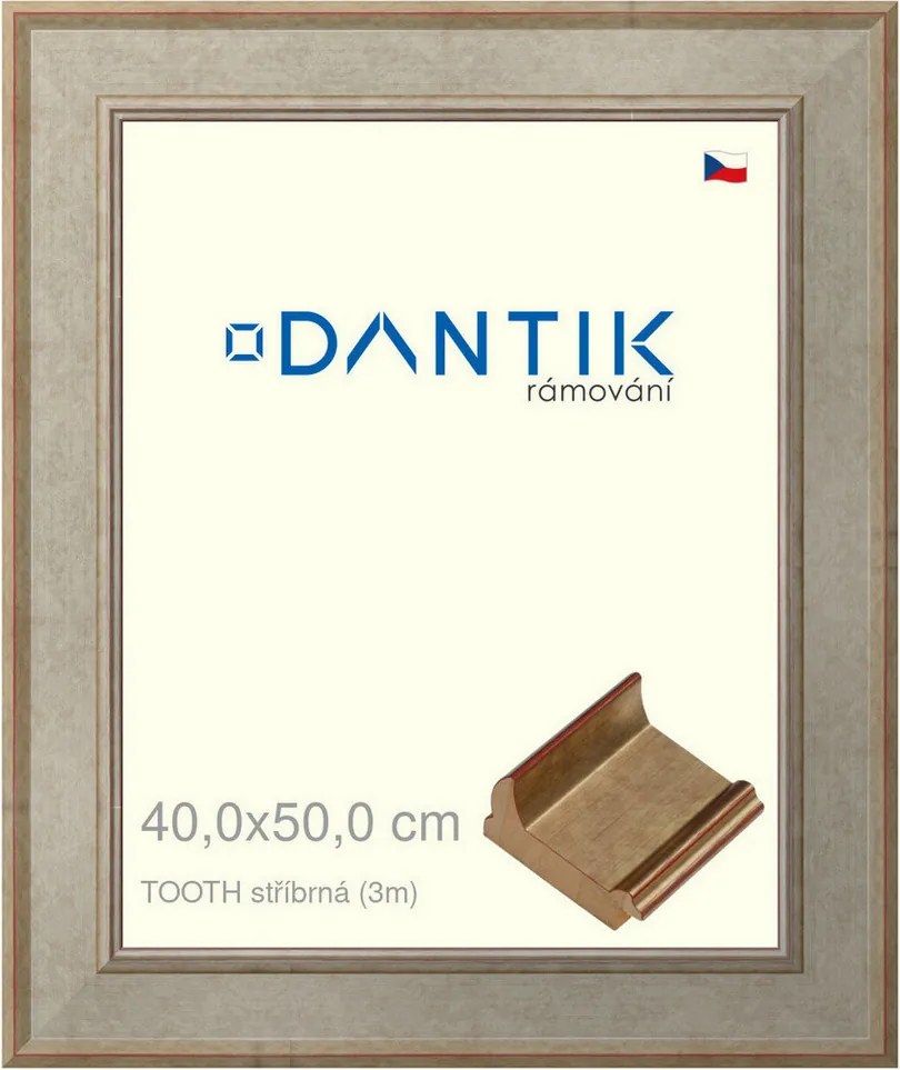 DANTIK rámeček 40x50 | TOOTH stříbrná (Sklo Čiré)