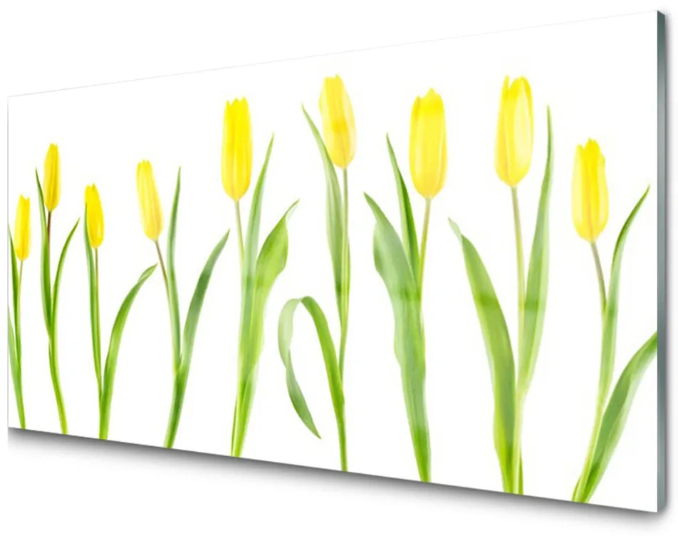 Skleněné obklady do kuchyně Žluté Tulipány Květiny