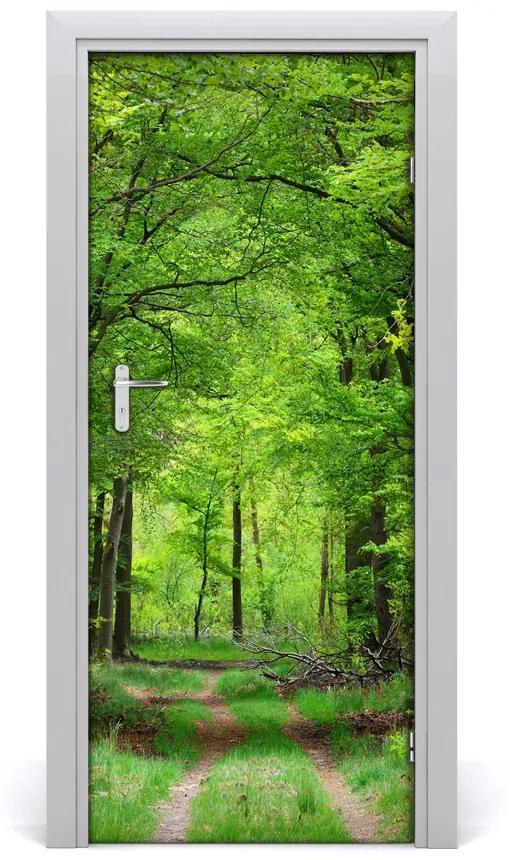 Fototapeta na dveře samolepící zelený les 75x205 cm