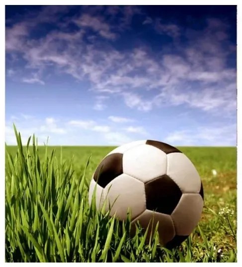 DIMEX | Vliesová fototapeta na zeď Fotbalový míč MS-3-0305 | 225 x 250 cm | zelená, modrá, bílá, černá