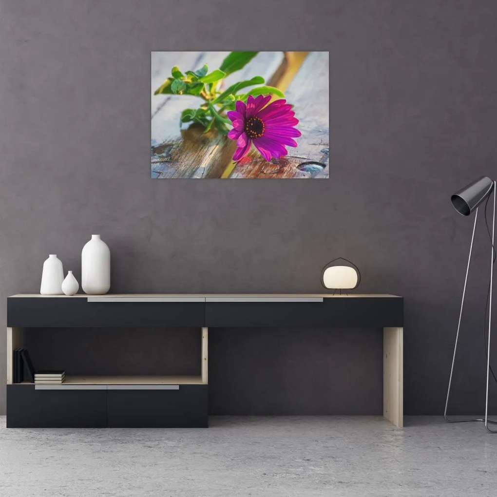 Skleněný obraz řezané květiny (70x50 cm)