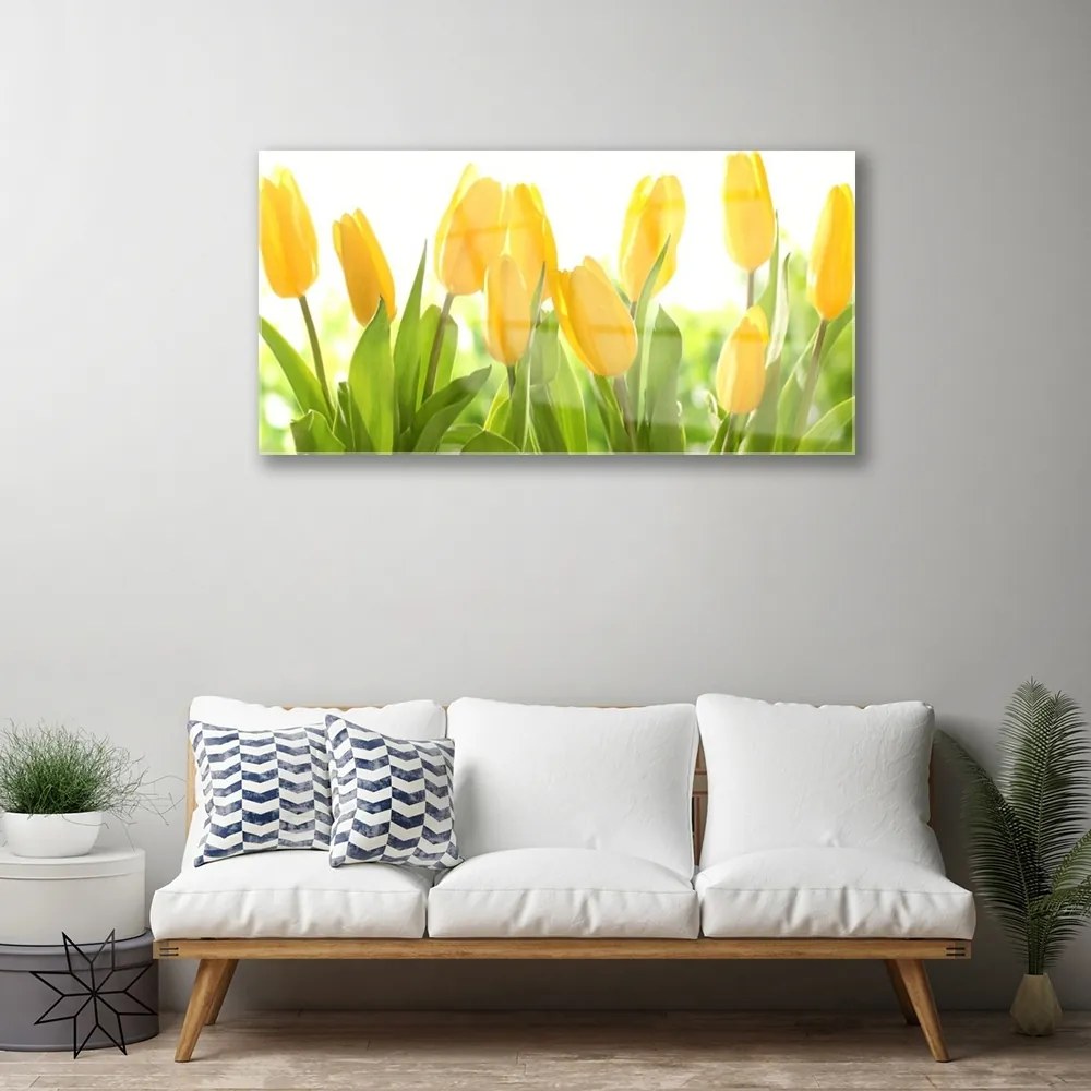 Obraz na skle Tulipány Květiny Rostlina 100x50 cm