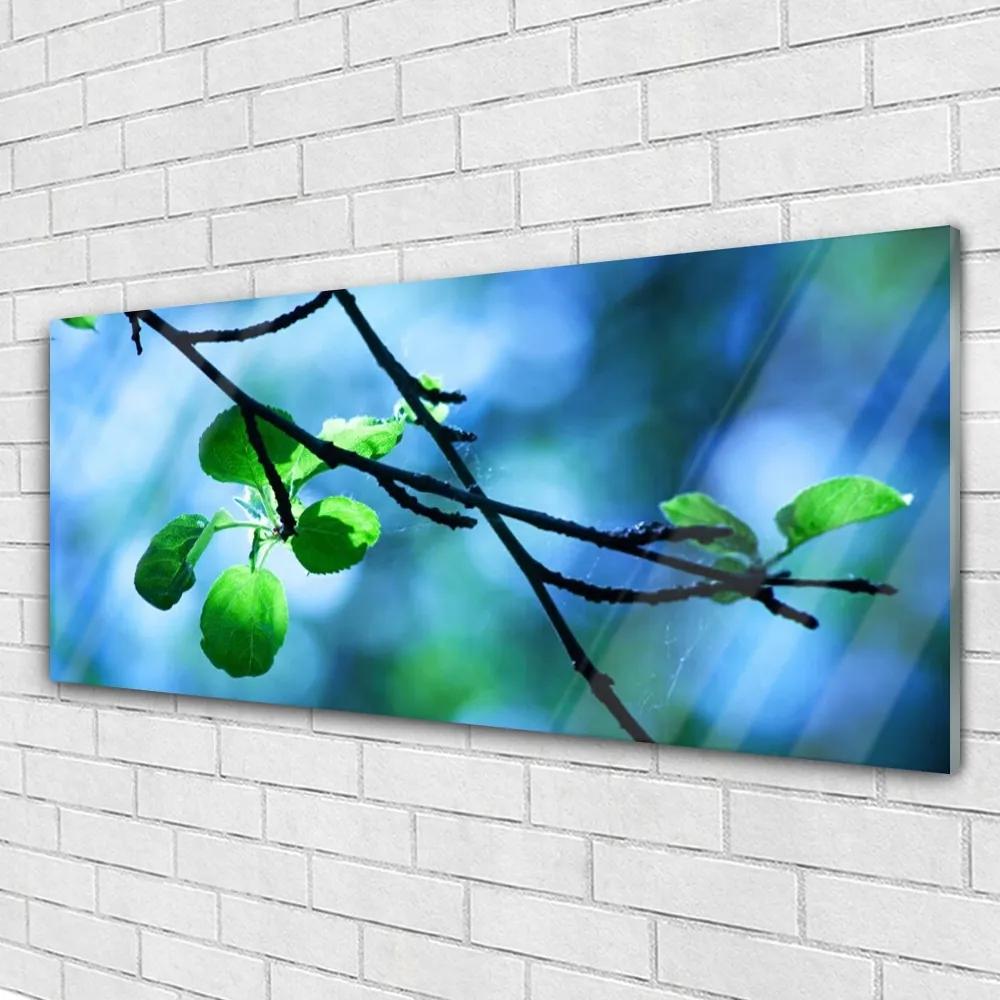 akrylový obraz Větev Listy Rostlina Příroda 125x50 cm