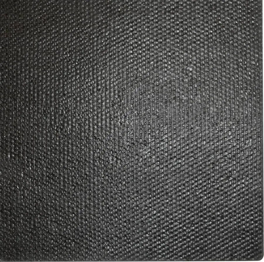 Rohožka před dveře přírodní 80 x 100 cm kokosové vlákno 155605