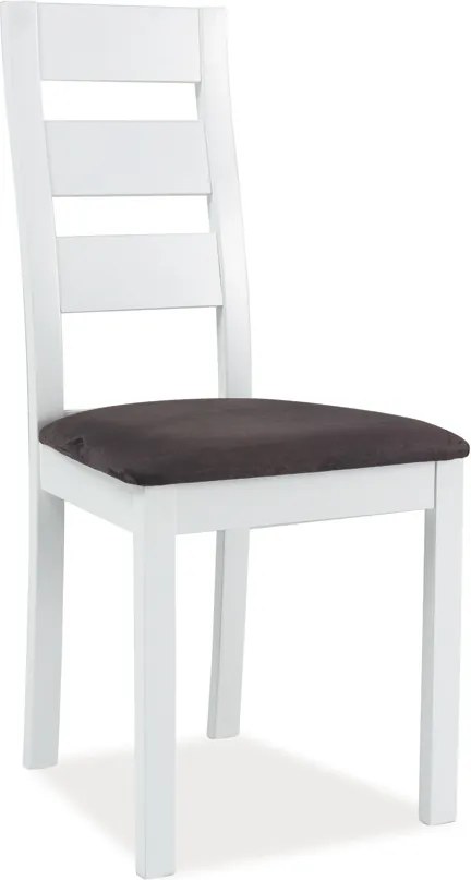 Casarredo Jídelní čalouněná židle CB-44 bílá/šedá