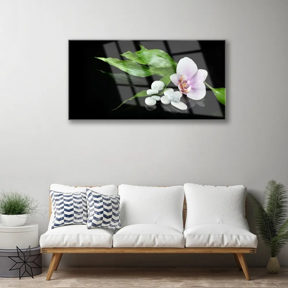 akrylový obraz Květ Kameny Listí 100x50 cm