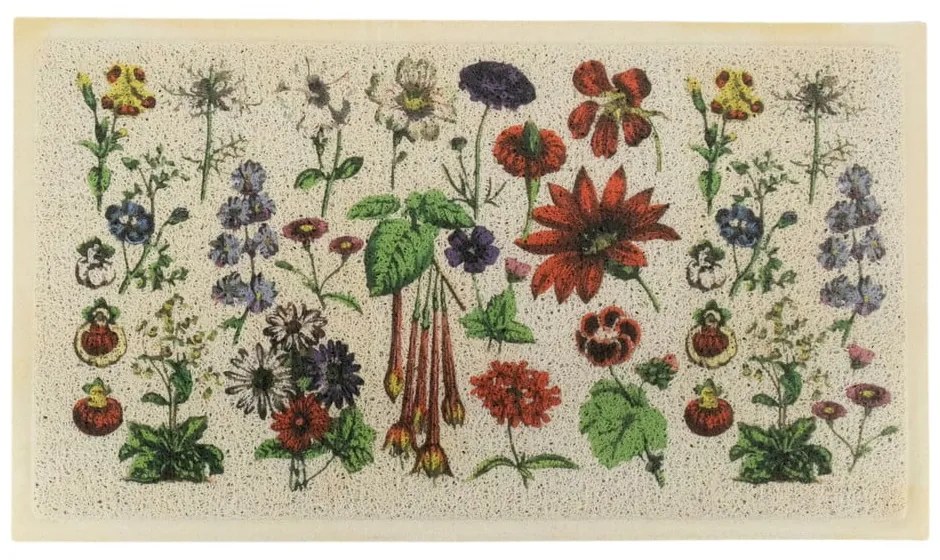 Rohožka 40x70 cm Botanicals – Artsy Doormats