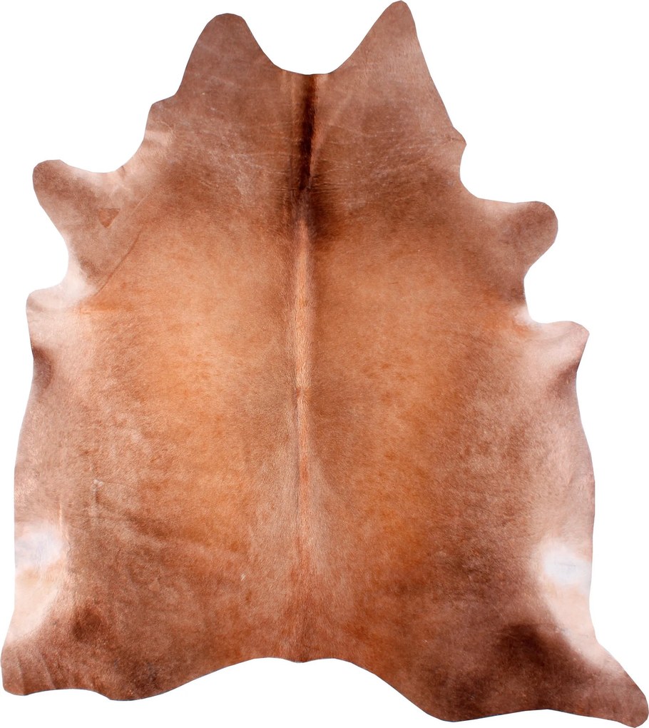 XXXLutz HOVĚZÍ KOŽEŠINA, - Kůže - 003580036401