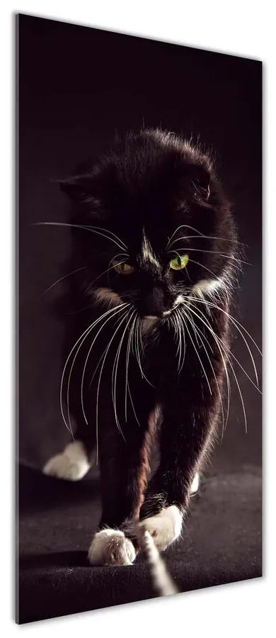 Wallmuralia Foto obraz akrylový na stěnu Černá kočka 50x125 cm