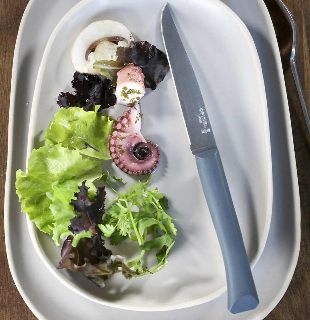Opinel Bon Appetit + steakový nůž s polymerovou rukojetí 11 cm, šedá, 001903