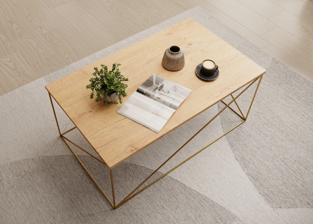 ADRK Furniture Konferenční stolek Dante CT-DAN-G-OL