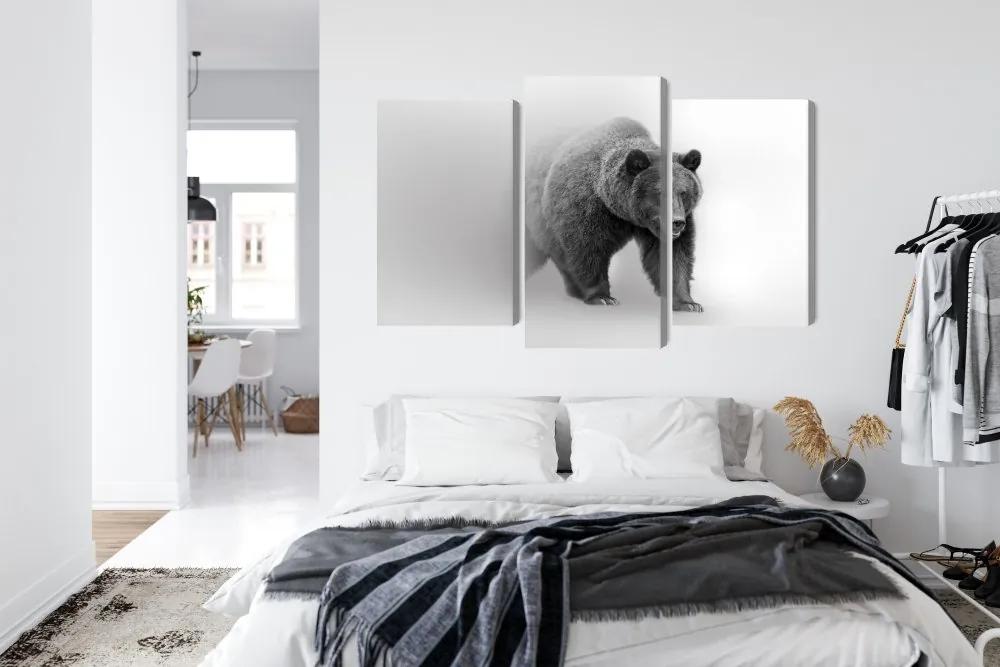 Vícedílný obraz Medvěd V Mlze 3D Nedostatek Nedostatek Přírodní plátno 60x40