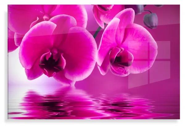 Skleněný obraz 90x60 - Růžová orchidea (EXTRA - s vyvrtanými dírami) - Sablo.cz