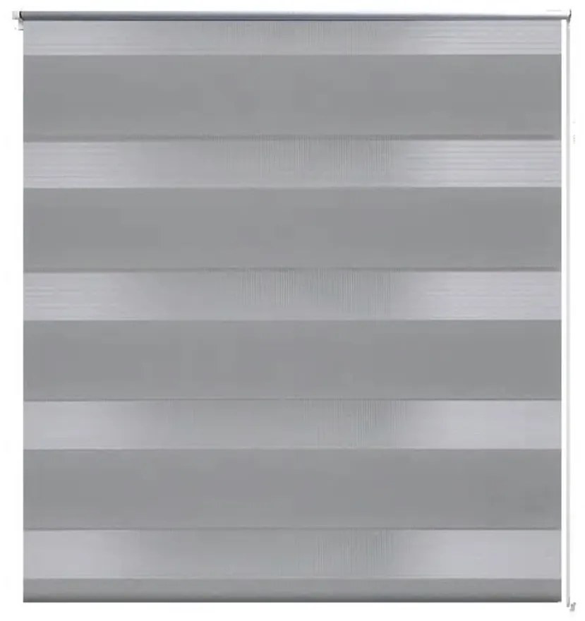 Roleta den a noc - Zebra - Twinroll - šedá | 80x175 cm