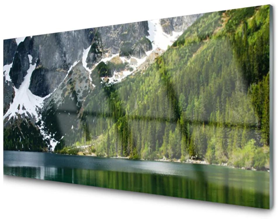 Skleněný obraz Jezero Les Hory Krajina