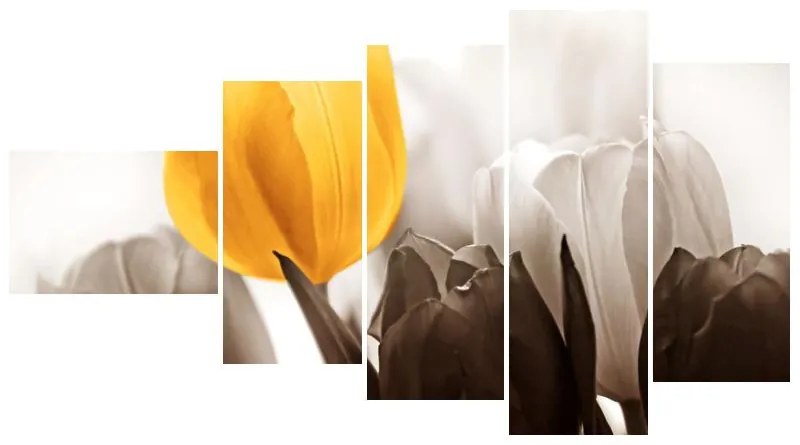 Krásný obraz žlutého tulipánu (110x60 cm), 40 dalších rozměrů