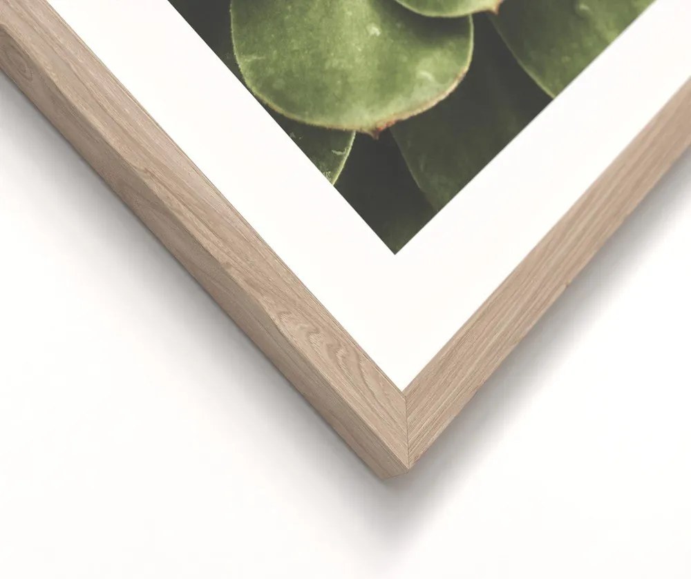 Tištěné obrazy v sadě 2 ks s rámem 30x40 cm Beauty Green – Styler