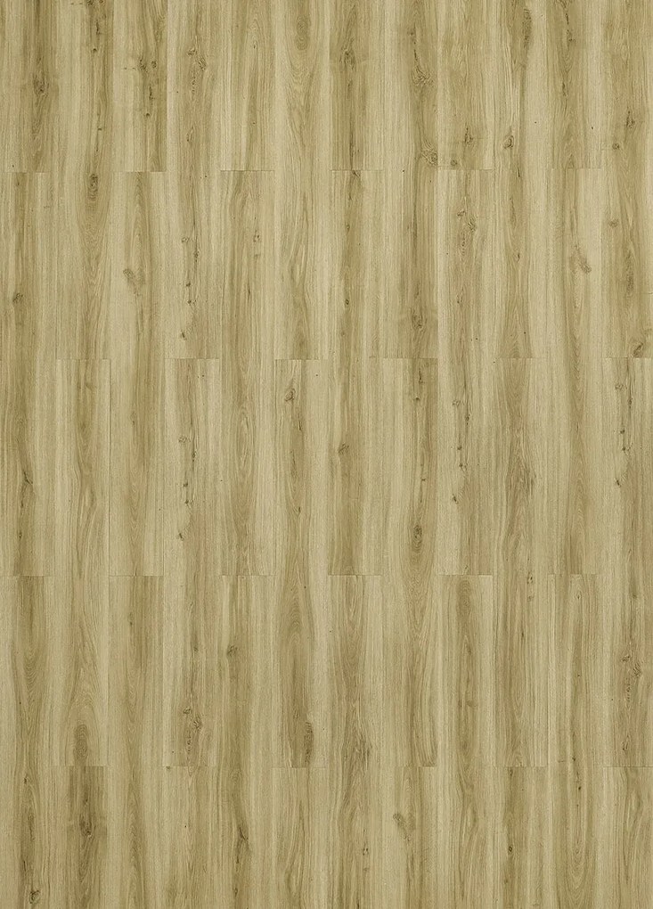 Koberce Breno Vinylová podlaha MOD. ROOTS 40 Classic Oak 24235, velikost balení 3,881 m2 (15 lamel)
