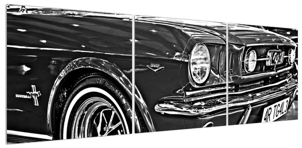 Detailní obraz auta (150x50 cm)