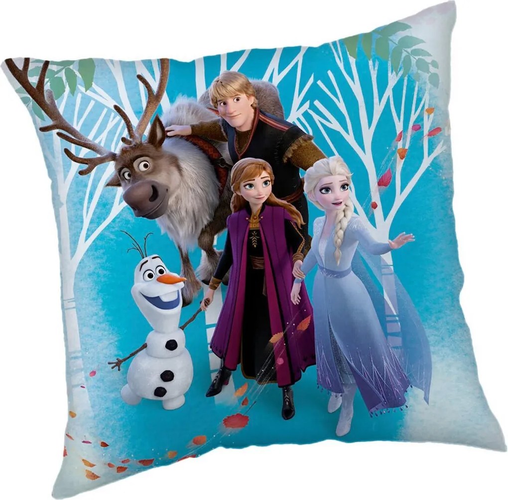 XXXLutz DEKORAČNÍ POLŠTÁŘ 40/40 cm - Dekorační polštáře - 003580054801
