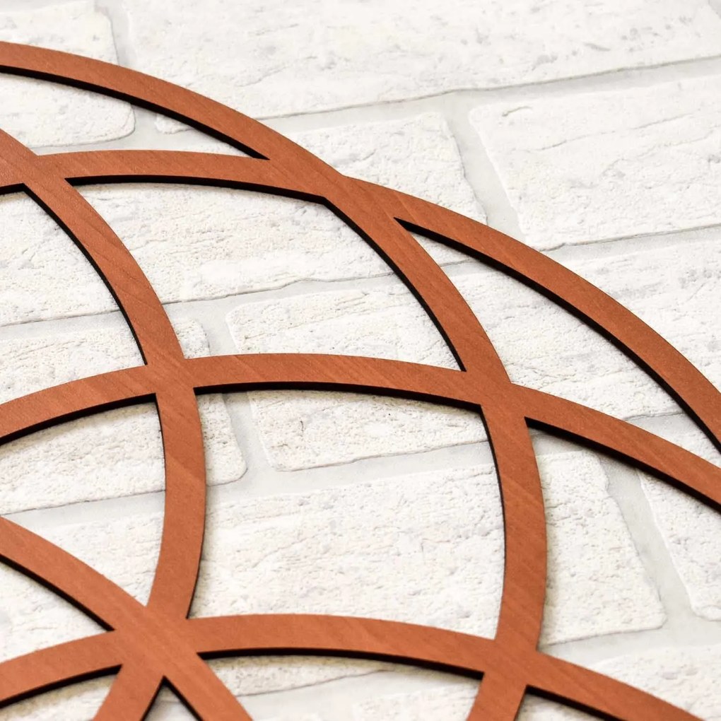 DUBLEZ | Posvátná geometrie - Symbol květ života | Obraz