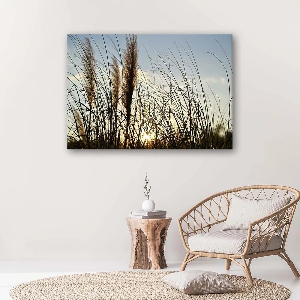 Gario Obraz na plátně Rákosí na slunci Rozměry: 60 x 40 cm