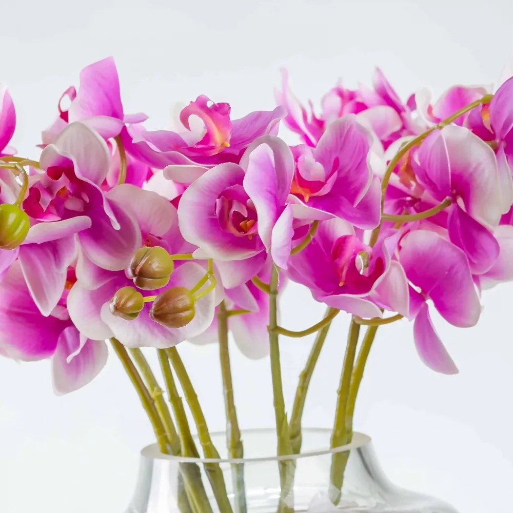 Okouzlující orchidea SILVIE