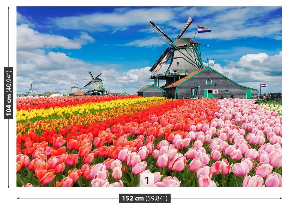 Fototapeta Větrné mlýny v Nizozemsku 104x70