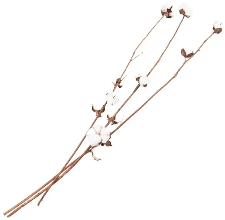 Bílo hnědá dekorační květina bavlník – 80 cm