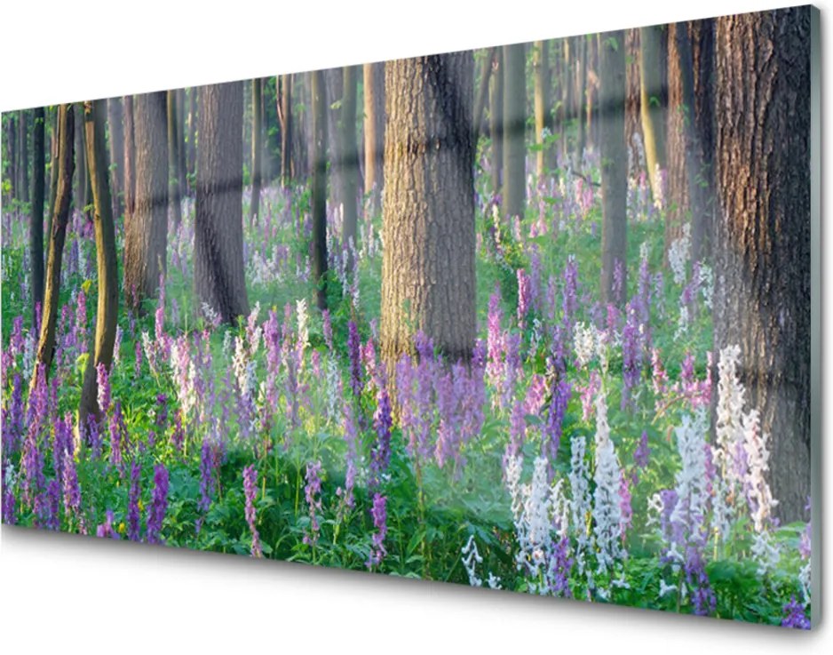 Obraz na skle Skleněný Les Květiny Příroda