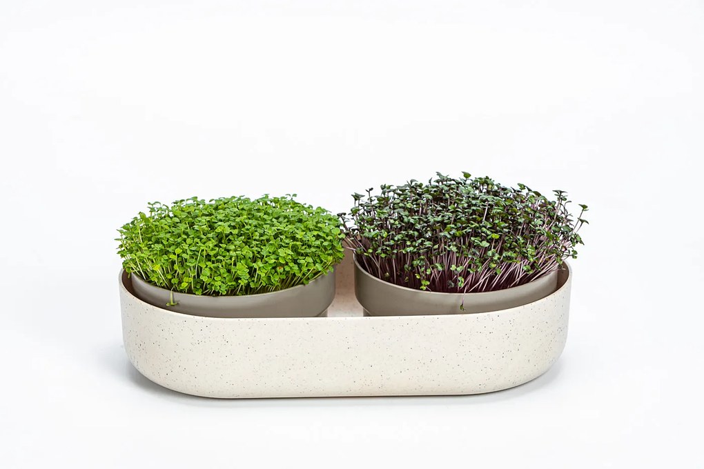 Velká farma - Klíčící miska Microgreens+Regrow, slonová kost s kávovou sedlinou