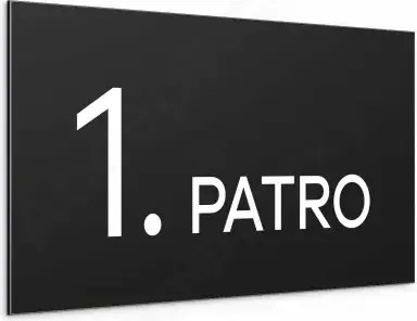 ACCEPT Označení podlaží "1. PATRO" - stříbrná tabulka - černý popis